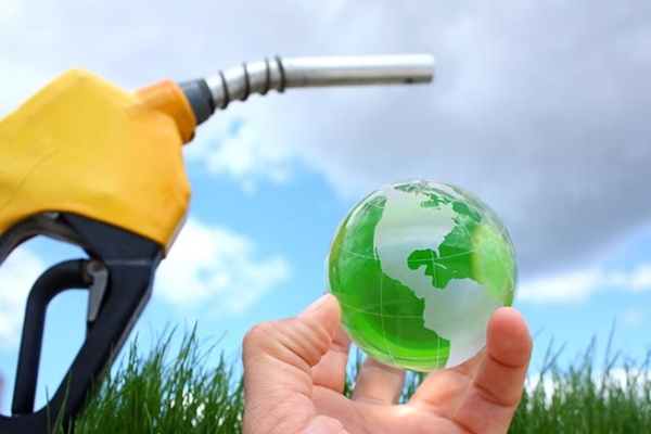 A Closer Look Into Biodiesel: 9 Essential Things To Know - Philippines