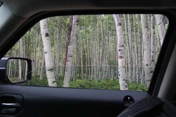 Troubling with Car Windows Stuck? Here's How to Fix Them