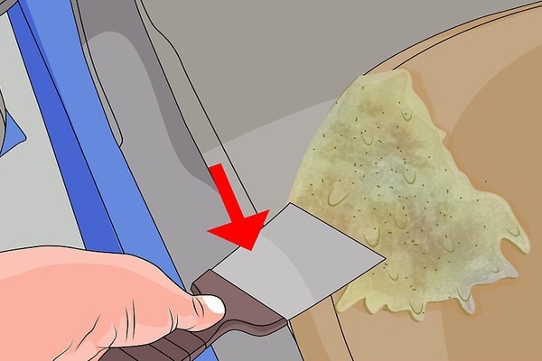 A Guide to Remove Vomit from Car Interior