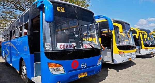 Bus in the Philippines: List of popular brands and models